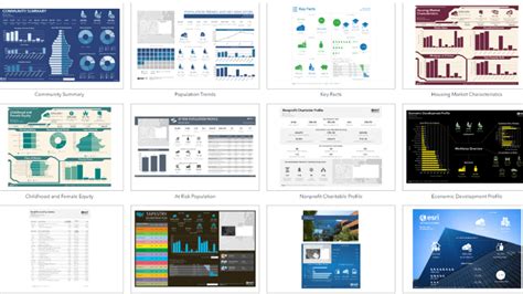 Learn About Infographics In Arcgis Business Analyst