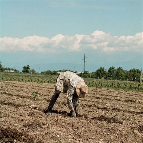 Tsinandali Estate Tsinandali Estate წინანდლის მამული