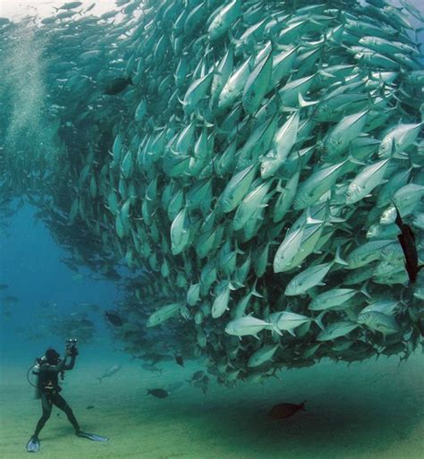 In The Next Frame Theres A Floating Skeleton Imgur