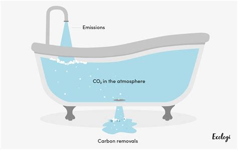 Carbon Removals Vs Carbon Avoidance Whats The Difference Ecologi