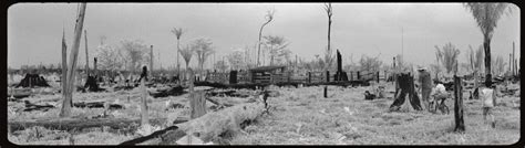 La Amazonía En Los Ojos De Richard Mosse Una Exposición Un Libro Y Una Película Así Es