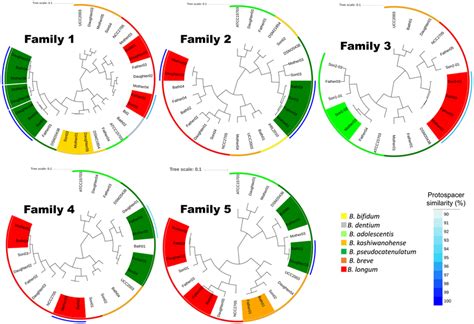 Mcl Clustering Of Bifidobacterial Strains Isolated From Bathtub Water Download Scientific