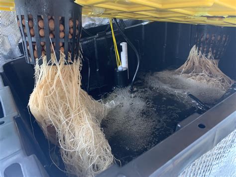 A Peek Under The Hood Of The Dwc Tote Dwc