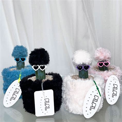 피엘피엘 꼬마 용신목 선인장 X Snow Pot 화분선물 플랜테리어 키우기쉬운식물 인테리어 위시버킷