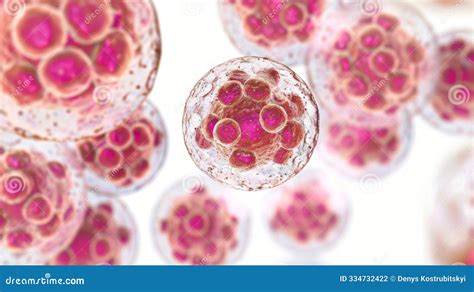 Chlamydia Life Cycle Vector Illustration 303888992