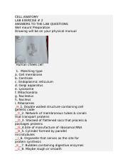 CELL ANATOMY Docx CELL ANATOMY LAB EXERCISE ANSWERS TO THE LAB QUESTIONS Wet Mount