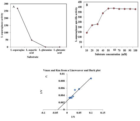 Purification Characterization And Anticancer Activity Of L Asparaginase Produced By Marine