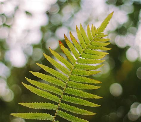 Vulcan Cladding Systems About Us