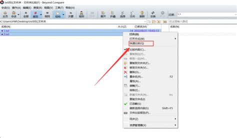 代码对比工具哪个好，怎么对比两个代码的数据 Beyond Compare中文网站