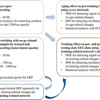 Flowchart And Summary Of The EEG Data Processing Steps ERP Download Scientific Diagram