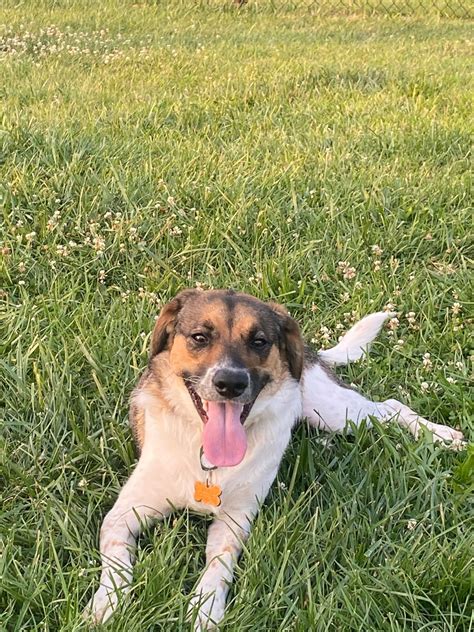 𝐌𝐈𝐒𝐎 𝐇𝐎𝐓𝐂𝐇𝐍𝐄𝐑 Ѽ On Tumblr