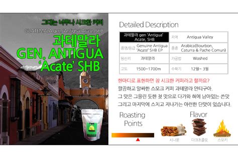 과테말라 안티구아 200g 산지별a급원두커피 로스팅하우스 필더컵