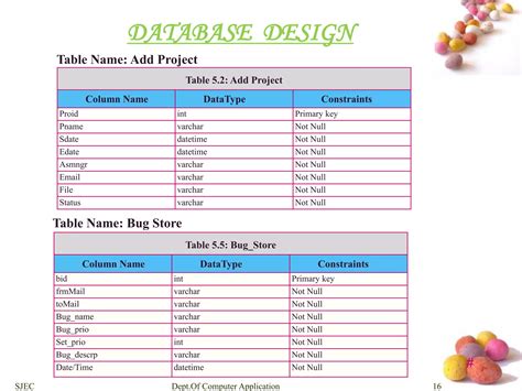 Bug Tracking System Pptx