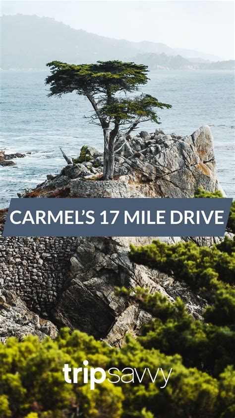Make The Most Of Your Day Trip To Carmel By The Sea Artofit