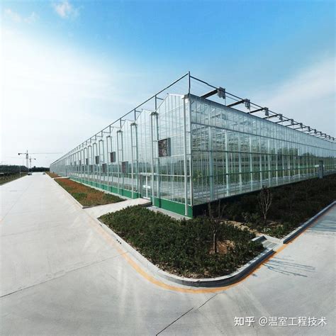 纹络型全玻璃温室大棚图纸分享温室设计参考案例 知乎