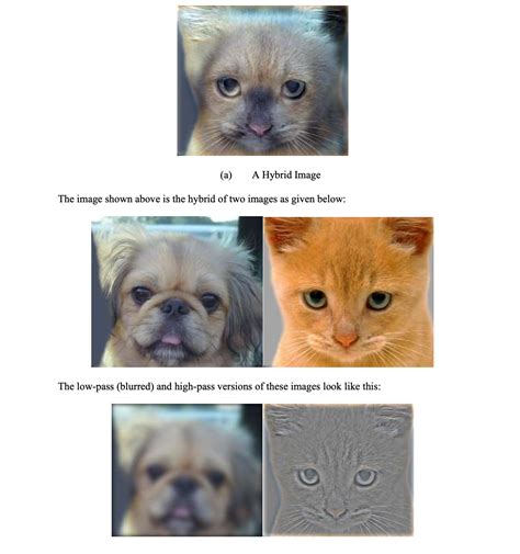 Solved Q1 Take Any One Image From The Dataset And Compute