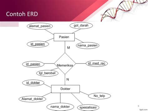 Contoh Erd Perpustakaan Sederhana