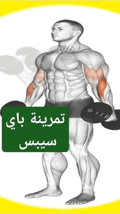 تمرين باي سيبس عضلة ثنائية الروؤس تمارينكمالالاجسام رياضة جيم