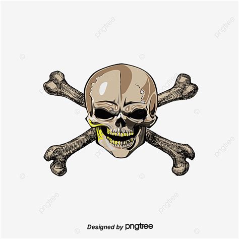 갈색 해골 일러스트 뼈 벡터 인쇄 의류 인쇄 인쇄 갈색 해골 Png 일러스트 및 Psd 이미지 무료 다운로드 Pngtree