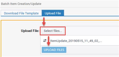Batch Update Items Contents Basic Information Newegg Marketplace Seller Academy