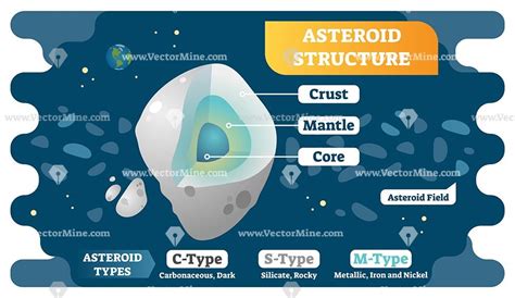 Asteroid Structure Cross Section Vector Illustration Diagram Diagram Design Diagram