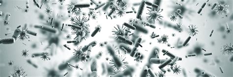 The Difference Between Aseptic Processing And Terminal Sterilization Crb