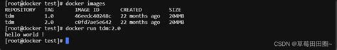 docker中cmd和entrypoint的区别 docker entrypoint cmd csdn博客