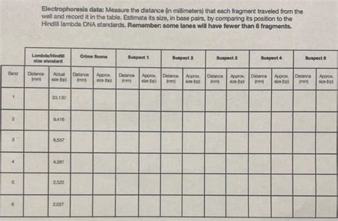 Solved Please Do The Whole Chart And The Semilog Graph Paper