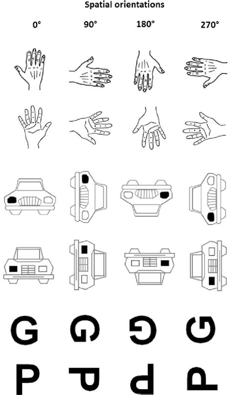 Examples Of Stimuli Used In The Three Mental Rotation Tasks Hand Download Scientific Diagram