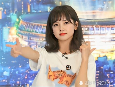 央视记者王冰冰 klauan 堆糖美图壁纸兴趣社区