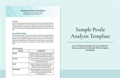 Sample Pestle Analysis Template Word Google Docs Template Net Hot Sex Picture