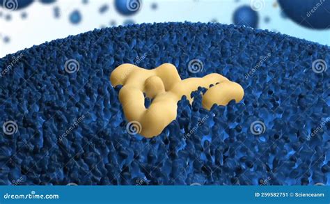 Protein In The Cell Receptors On The Cells Surface Metabolism Stock Illustration Illustration