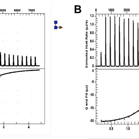 Figure S3 Typical ITC titration curves obtained for α1 6 fucosylated Download Scientific