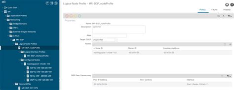 implement aci transit routing multipod cisco