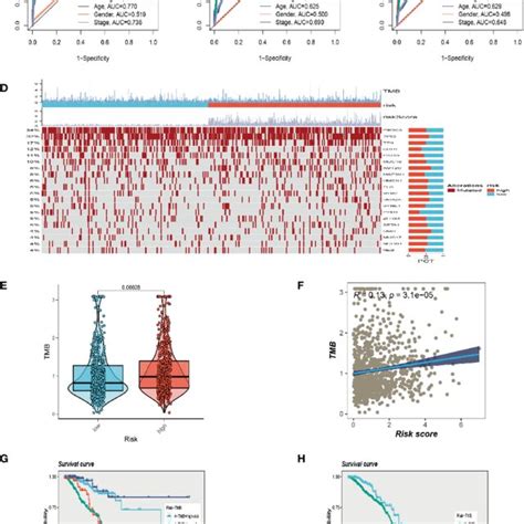 Clinical Correlation Analysis And Gene Mutation Analysis Download