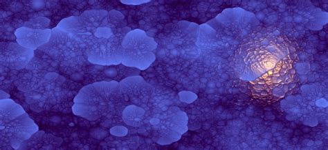 Reaction Diffusion Systems Syntopia