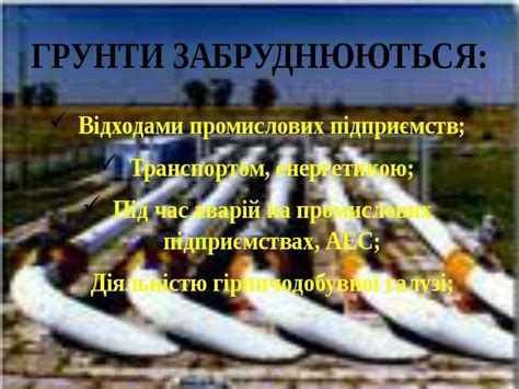 Екологічна безпека Забруднення навколишнього середовища презентация онлайн