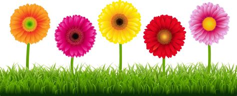 Grass Gerber Border Vector Images 78