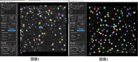 Fiji —— 基于 Imagej 的免费且开源的图像处理软件fiji Imagej Csdn博客 Fiji —— 基于 Imagej 的免费且开源的图像处理软件fiji Imagej Csdn博客