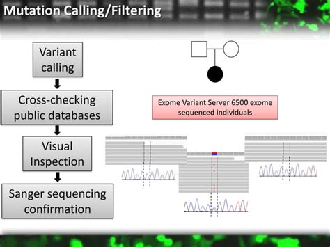 High Throughput Sequencing Technologies On The Path To The 0 Genome Pptx Chemistry Science