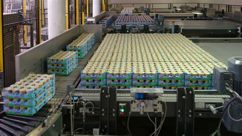 Scott Automation Conventional Palletising Vs Robotic Palletising