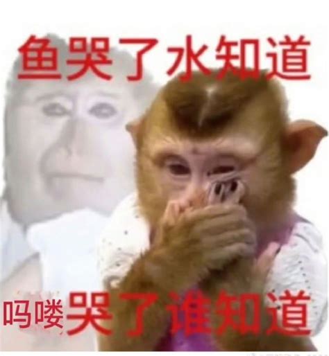 吗喽表情包 高清图片，堆糖，美图壁纸兴趣社区