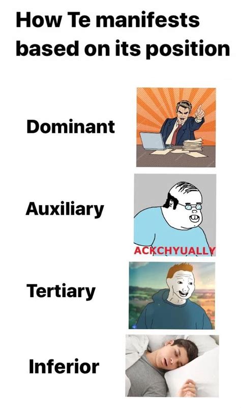 Pin By Profanyx On Functions In 2024 Mbti Functions Mbti Relationships Mbti