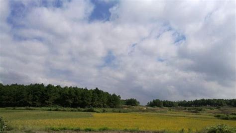 實拍：你沒有看到過的農村美景，秋收農民收割忙 每日頭條