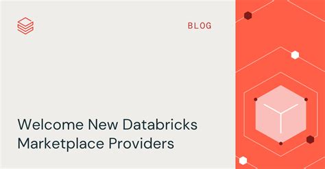 New Suppliers On Databricks Market Codesanitize