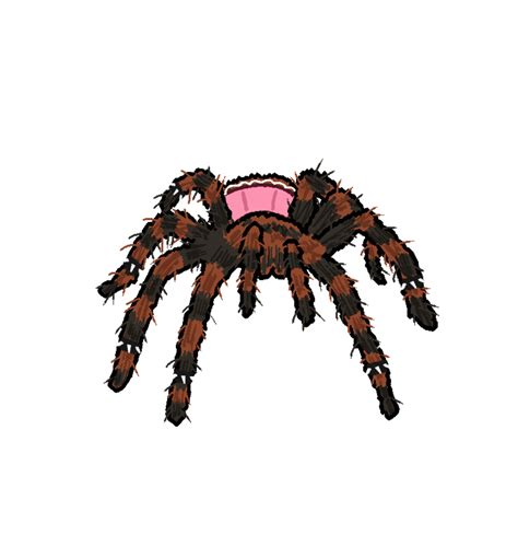 Umah Muffiqute Verse Wiki Fandom