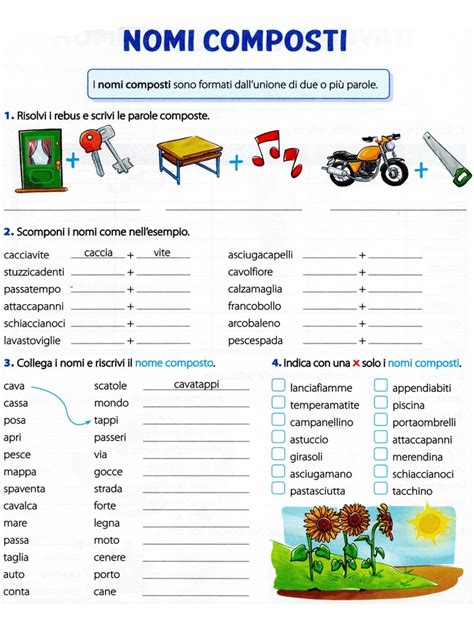 Esercizio Nomi Composti Pdf