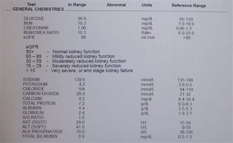 Comprehensive Metabolic Panel Blood Test Results With Pictures