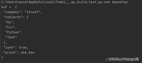 Go 语言中 Jsonunmarshal Bytejsonbuff Andj 字节切片得使用场景 Csdn博客
