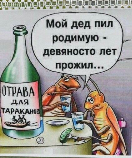 Пин от пользователя Любов Шабалтас на доске Шутки | Смешные гифки ...